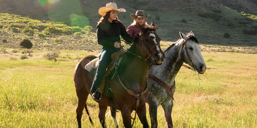 Services | Valley View